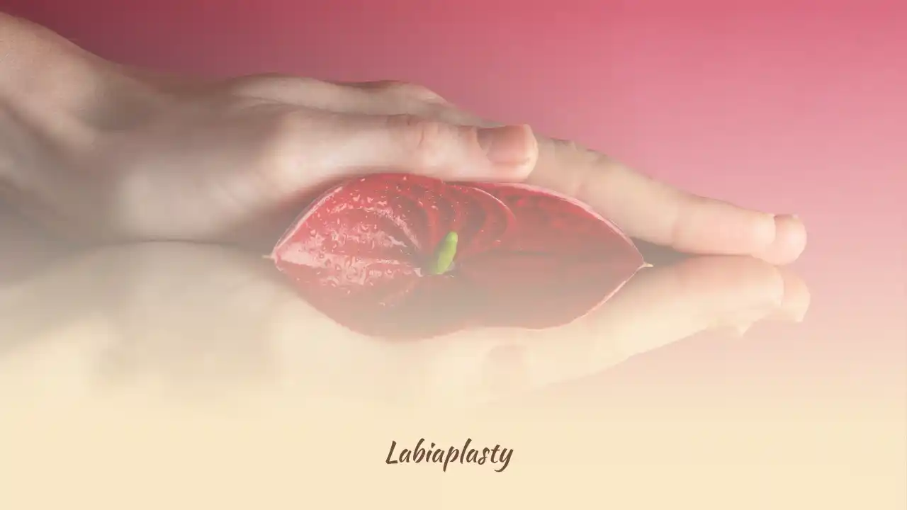 Labiaplasty In Turkey 2025 Avoid High Costs In Istanbul
